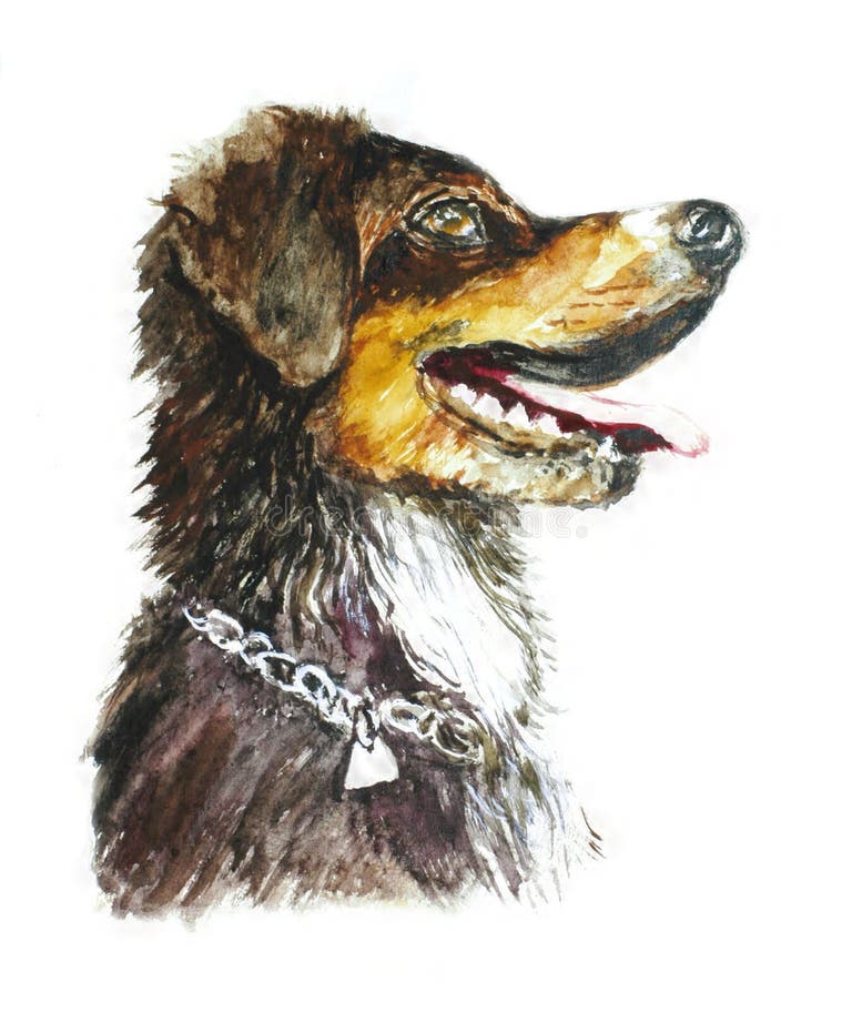 Cur Dog Stock Illustrations – 1,037 Cur Dog Stock Illustrations ...