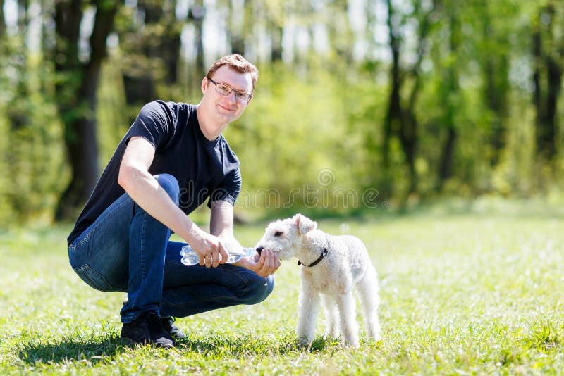 Dog Drinking Water from Hands of Men Stock Photo - Image of park, doggy ...