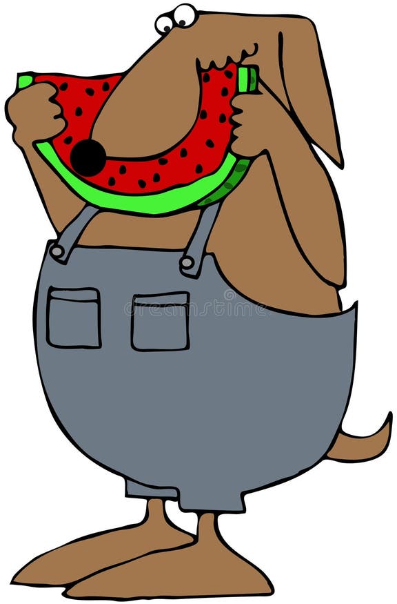 Dog Eating Watermelon stock illustration. Illustration of animal - 11152318