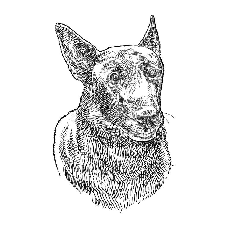 Black White Mutt Dog Stock Illustrations – 2,864 Black White Mutt Dog ...