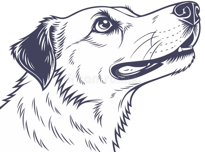 Dog. Dog Face. Drawn Dog Head. Monochrome Drawing Stock Vector ...