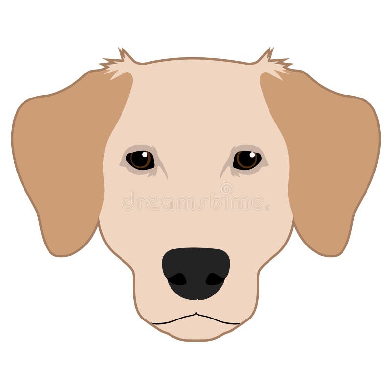 Labrador Face Stock Illustrations – 5,035 Labrador Face Stock ...