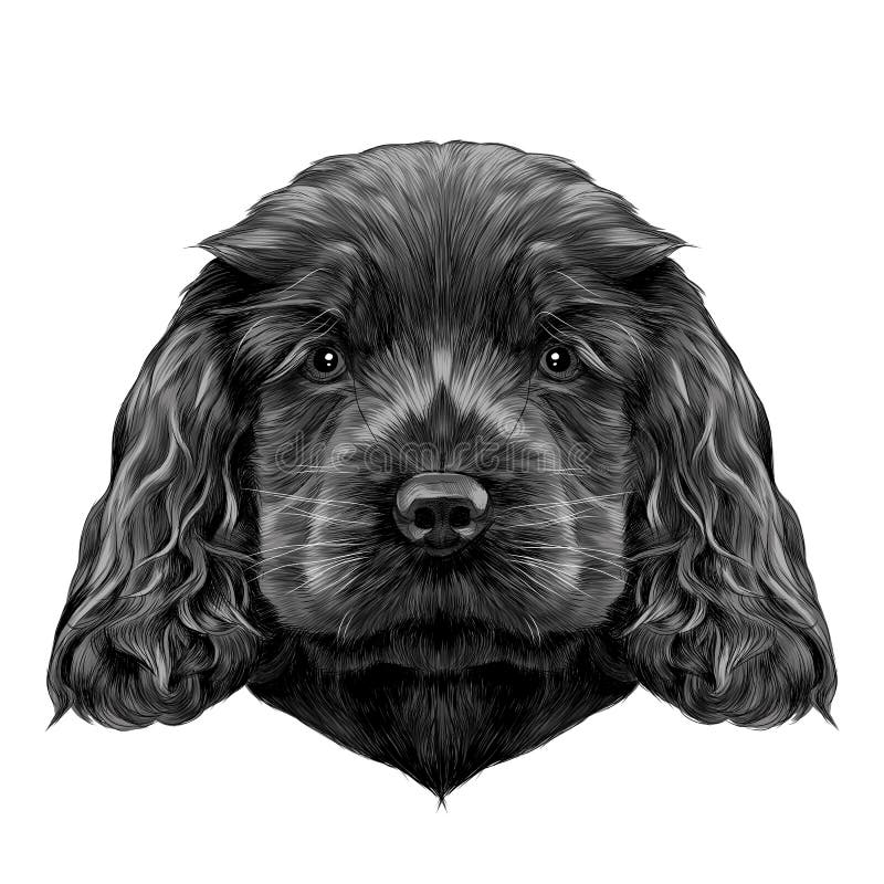 Dog Face Sketch Vector Graphics Stock Vector - Illustration of beige ...