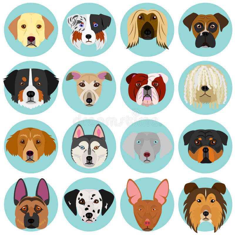 Small Dog Faces Set with Circle Stock Vector - Illustration of front ...