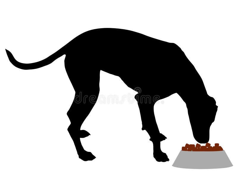 Dog feeding stock vector. Illustration of animal, isolated - 42179125