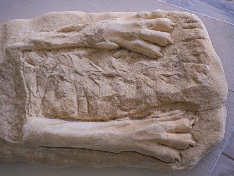 Dog Feet in Museum of Ancient Nemea, Greece. Editorial Photo - Image of ...