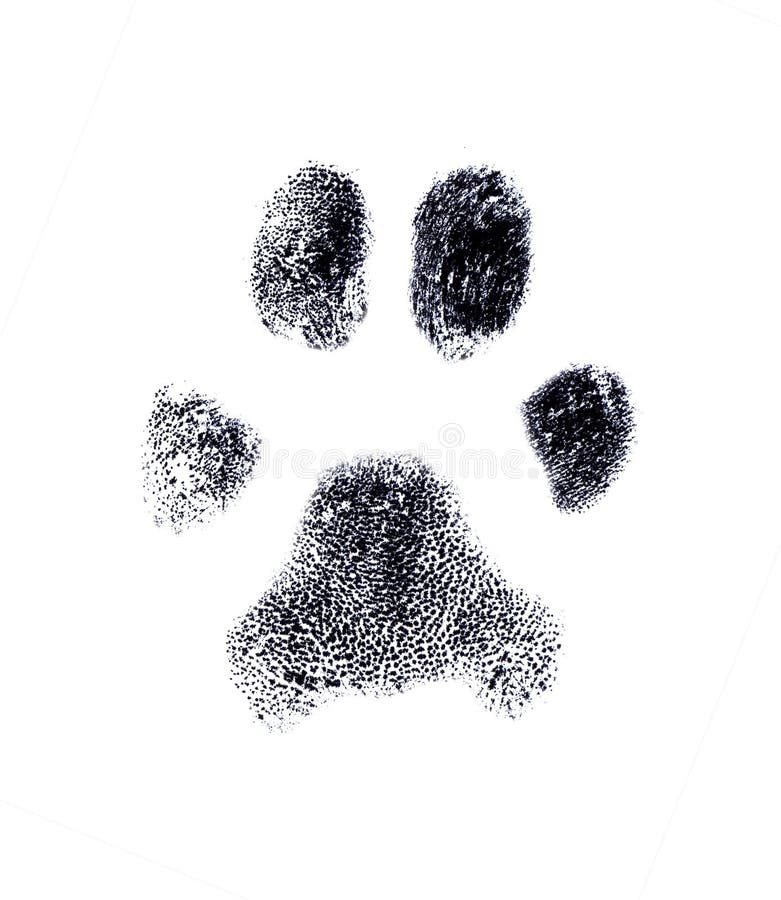 250+ Fingerprint Free Stock Photos - StockFreeImages
