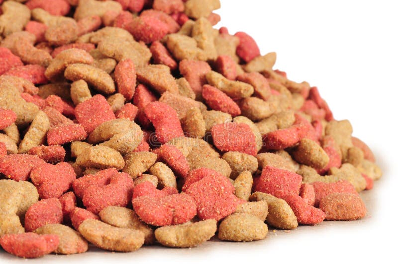 Dog food stock image. Image of animal, closeup, munchies - 12204519
