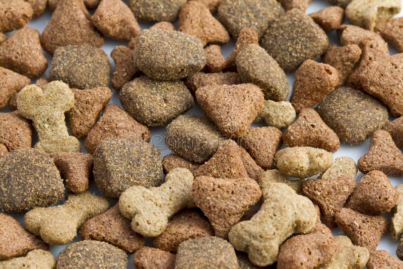 Dog food stock photo. Image of fitness, vegetable, macro - 17551358