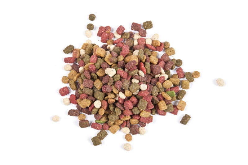 Dog food . stock image. Image of macro, close, healthy - 25560289