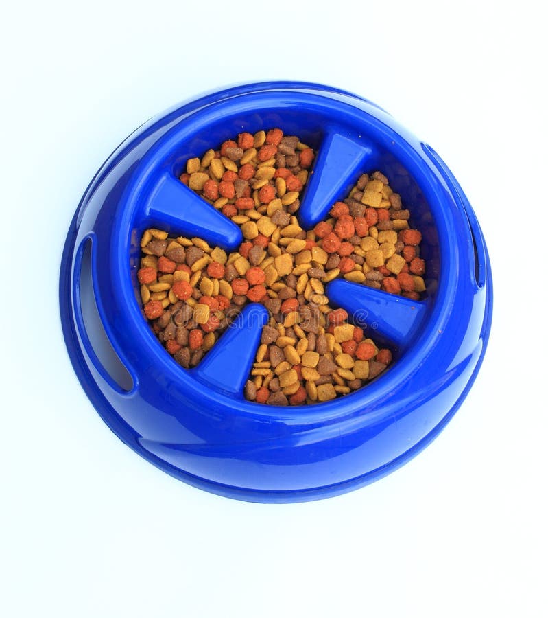 Dog Food in Bowl stock photo. Image of brake, gulping - 25993582