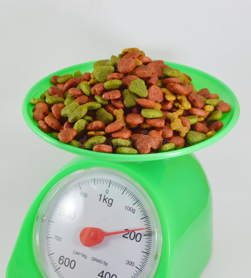 Dog Food on Green Weighting Scale Stock Photo - Image of food, economic ...