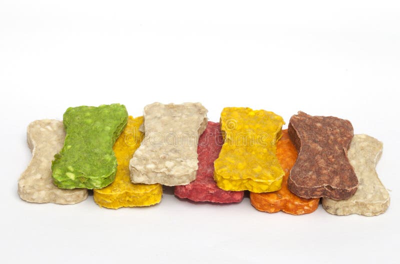 Dog Treats Spilling Out of Bone Shaped Container Stock Image - Image of ...