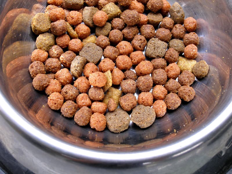 Dog food on metal plate stock photo. Image of food, brown - 3181896