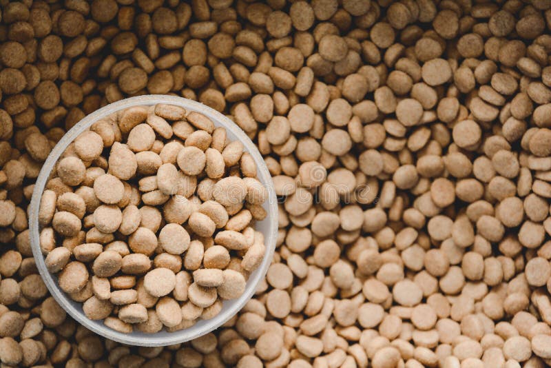 Dog food pattern stock photo. Image of isolated, protein - 89736078