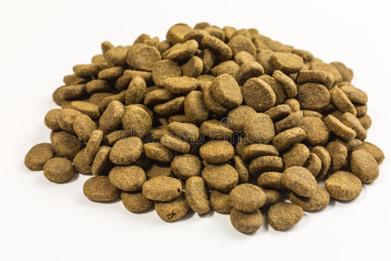Dog food pellets stock photo. Image of heap, canine - 111331968