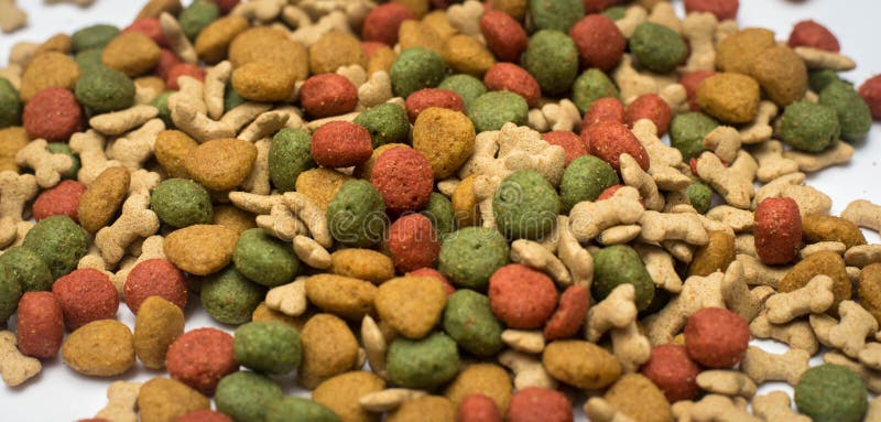 Dog Food on a White Background Stock Photo - Image of closeup, cute ...