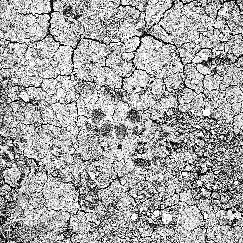 Dried Mud Stock Illustrations – 311 Dried Mud Stock Illustrations ...