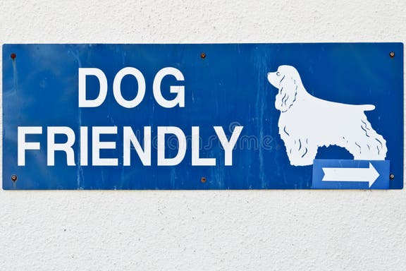 Dog friendly stock photo. Image of attention, canine - 20196548