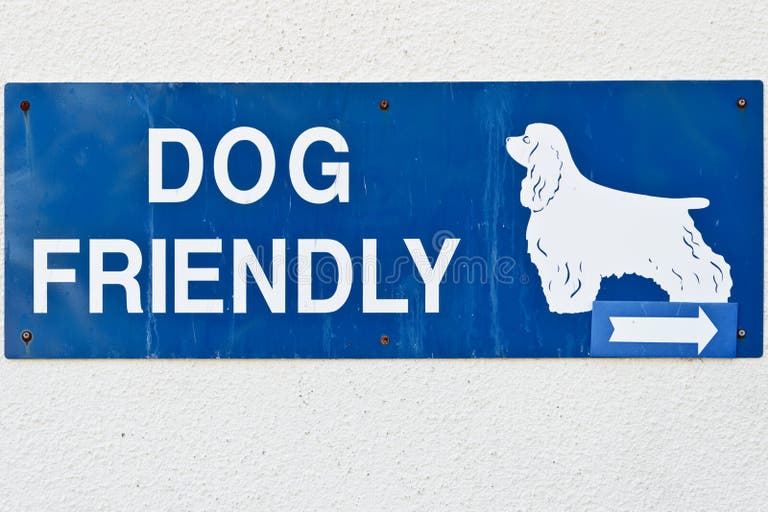 Dog friendly stock photo. Image of attention, canine - 20196548