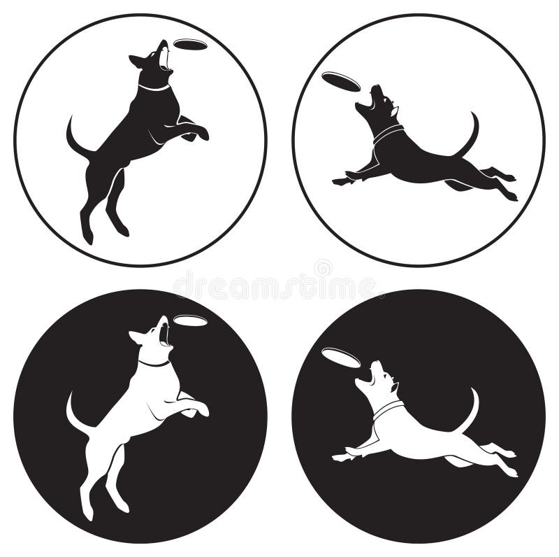 What Dogs Catch Frisbees