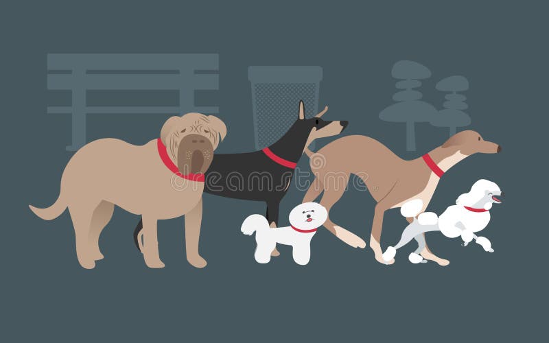 Dog gang stock vector. Illustration of poodle, running - 59591779