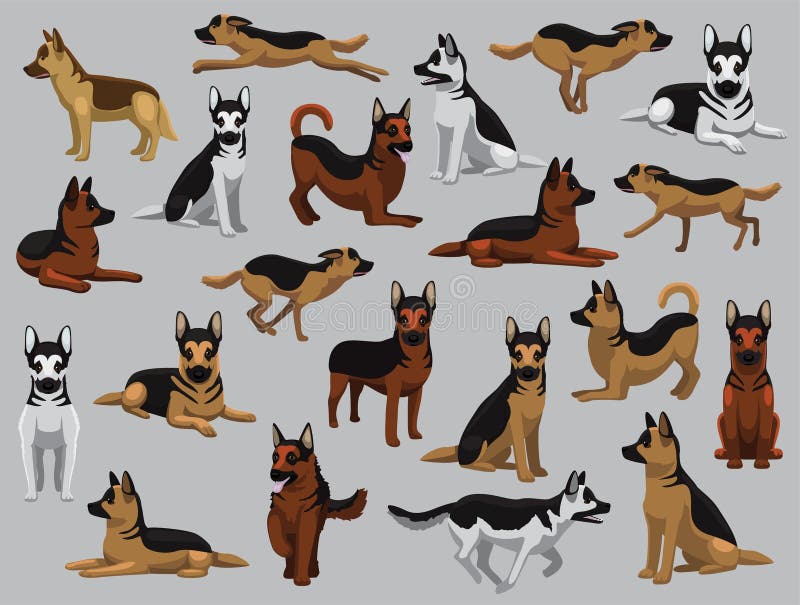 Dog German Shepherd Various Colors Poses Cartoon Vector Character Stock ...
