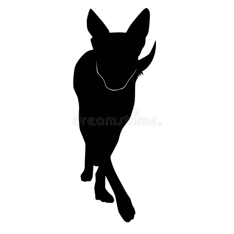 Dog Front Silhouette Stock Illustrations – 1,287 Dog Front Silhouette ...