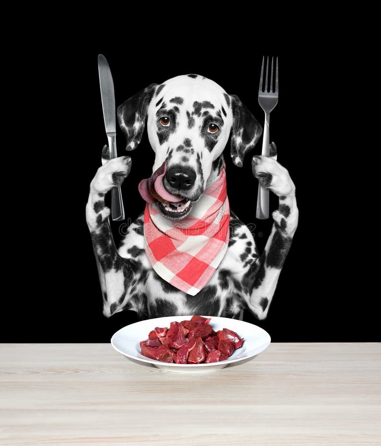 Can A Dog Eat Meat