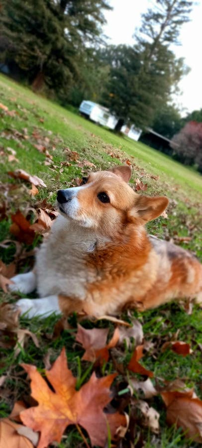 Otham Stock Photos - Free & Royalty-Free Stock Photos from Dreamstime