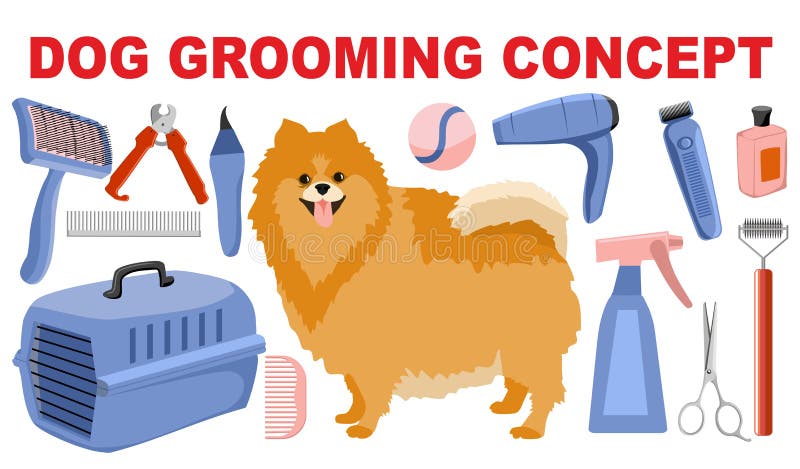 Dog Grooming Elements Vector Set. Tools Used in Beauty Salon for ... Dog Grooming Elements Vector Set. Tools Used in Beauty Salon for ...