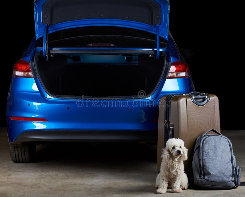 Dog Guard Luggage Next To Car Stock Image - Image of bulldog, garden ...