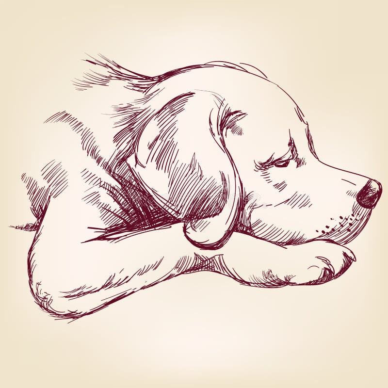 Hand Draw Dog Stock Illustrations – 5,154 Hand Draw Dog Stock ...