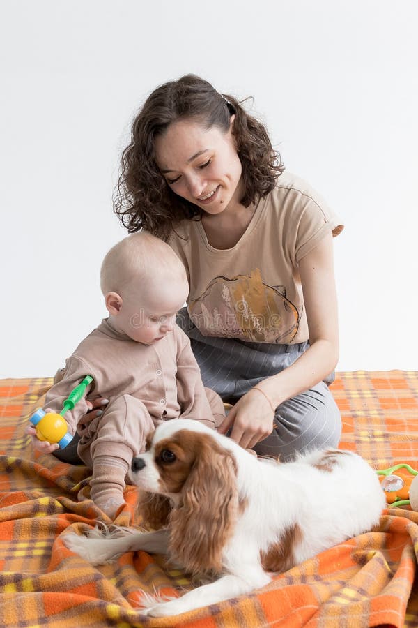 Dog Handler Woman Sitting on the Floor with Dog and Toddler Stock Photo ...