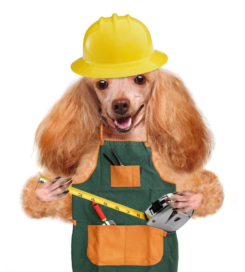 Super handyman stock photo. Image of caucasian, handyman - 11726916