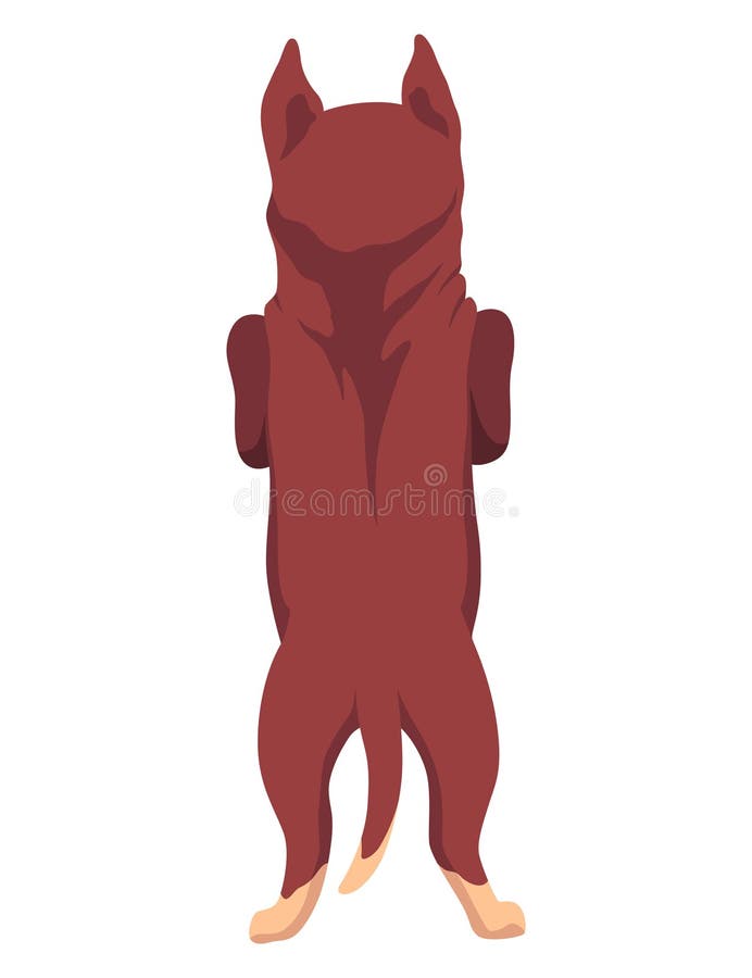 Dog Hanging on Border. Full Body Back View Stock Vector - Illustration ...