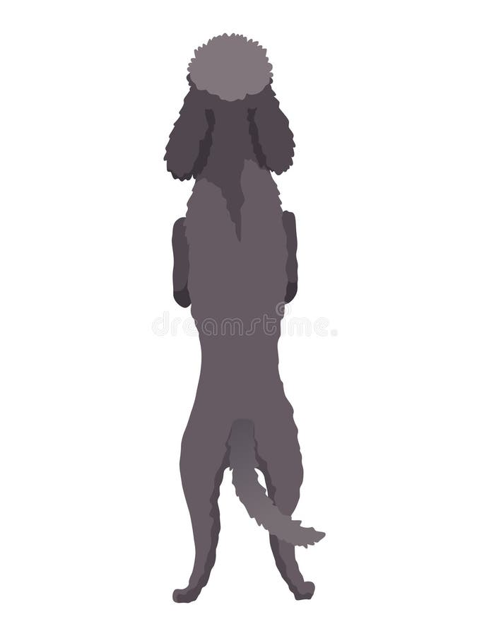 Dog Hanging on Border. Full Body Back View Stock Vector - Illustration ...