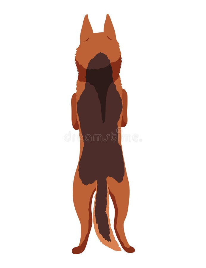 Dog Hanging on Border. Full Body Back View Stock Vector - Illustration ...