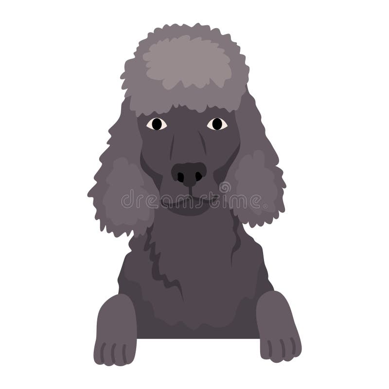 Dog Hanging on Border. Portrait of Muzzles with Paws. Front View Stock ...