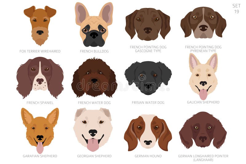 Dog Head in Alphabet Order. All Dog Breeds Stock Vector - Illustration ...