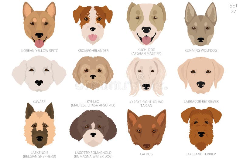 Dog Head in Alphabet Order. All Dog Breeds Stock Vector - Illustration ...