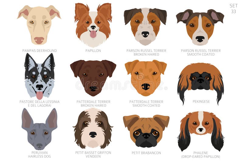 Dog Head in Alphabet Order. All Dog Breeds Stock Vector - Illustration ...