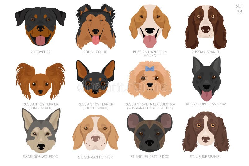 Dog Head in Alphabet Order. All Dog Breeds Stock Vector - Illustration ...