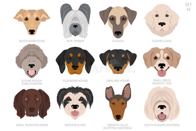 Dog Head in Alphabet Order. All Dog Breeds Stock Vector - Illustration ...