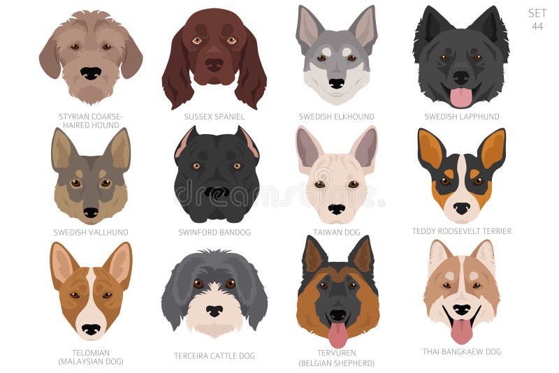 Dog Head in Alphabet Order. All Dog Breeds Stock Vector - Illustration ...