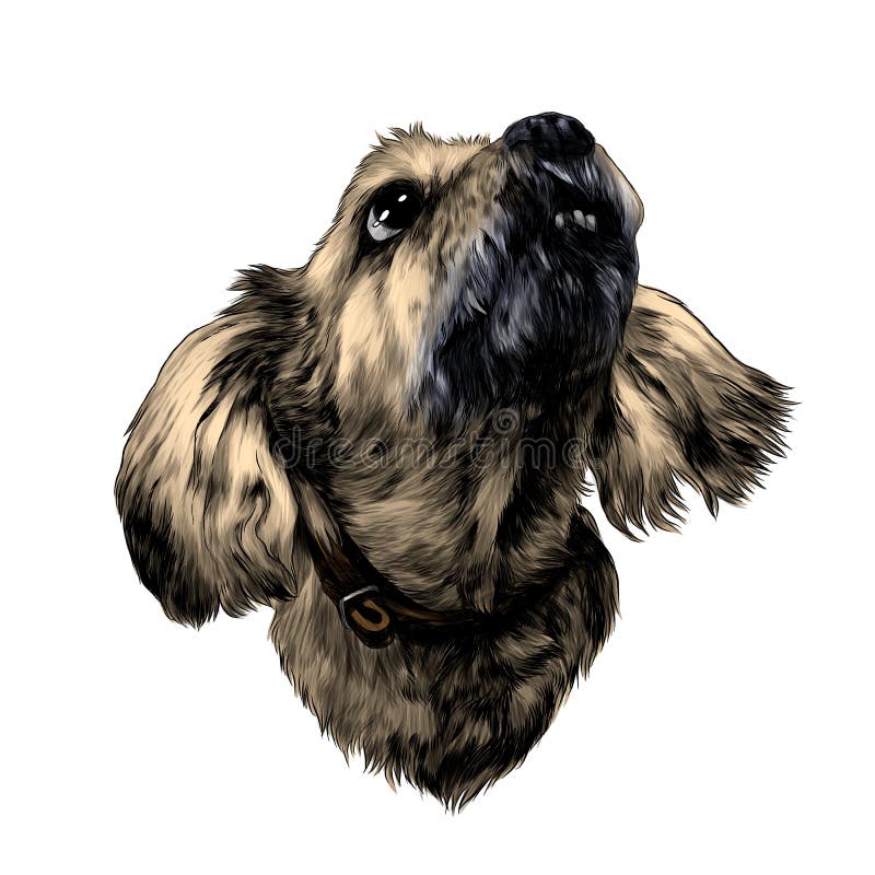 Dog Head Looking Up and Holding a Sausage on the Nose Stock Vector ...