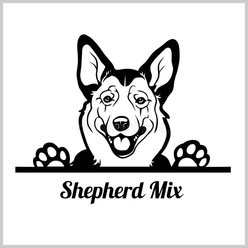Dog Head, Shepherd Mix Breed, Black and White Illustration Stock Vector ...