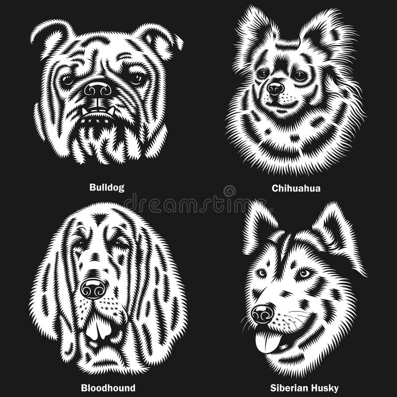 Dog Heads of Different Breeds Vector Illustration on Black Stock Vector ...