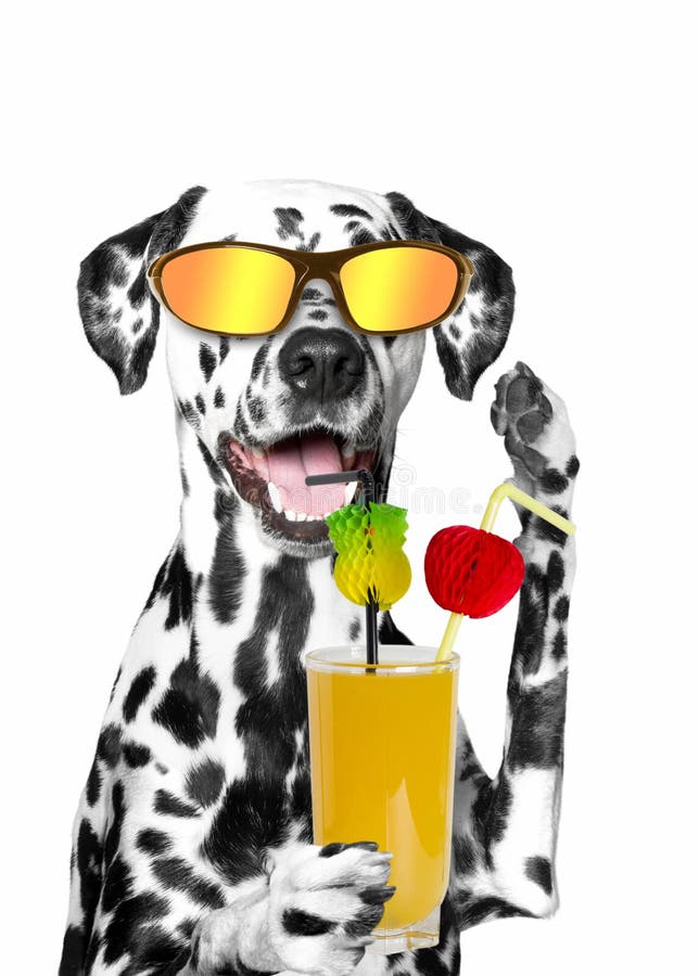 313 Dog Beach Cocktail Stock Photos - Free & Royalty-Free Stock Photos ...