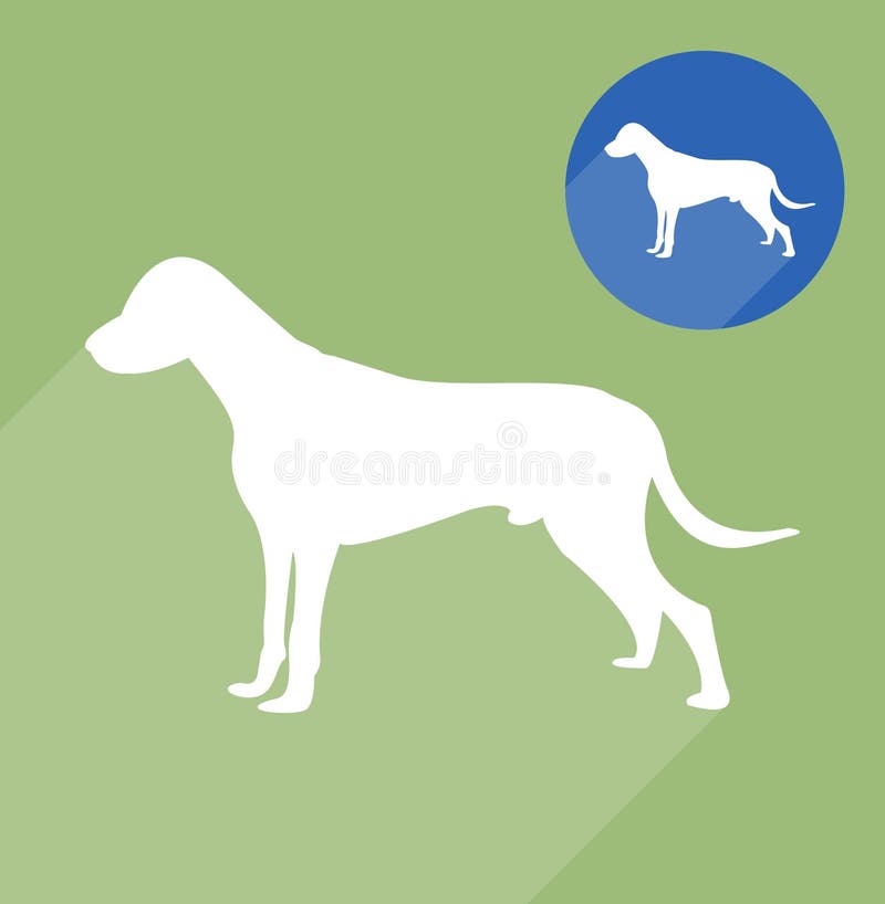 Dog, hound long shadow stock vector. Illustration of brand - 295569315